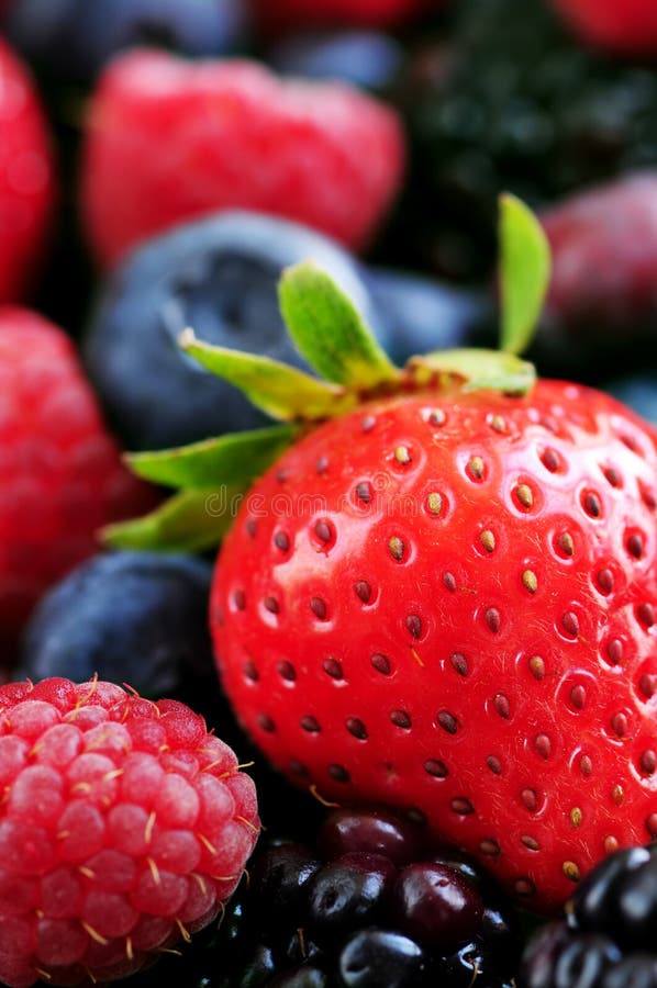 Assorted fresh berries stock image. Image of colourful - 10982373