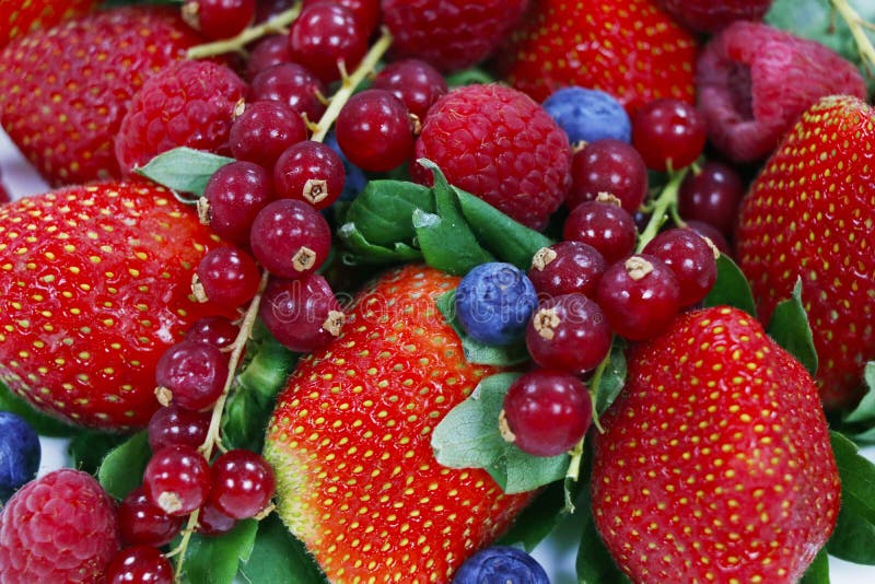 Assorted Fresh Mix Berries Close Up Stock Photo - Image of close ...