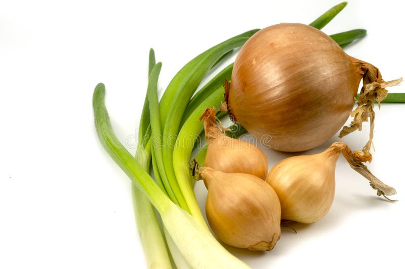 Assorted Fresh Onions with Spring Onions Stock Image - Image of brown ...