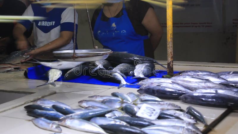 Assorted Fresh Silver Fish Bunch on a Tiles Table Costumer Requesting ...