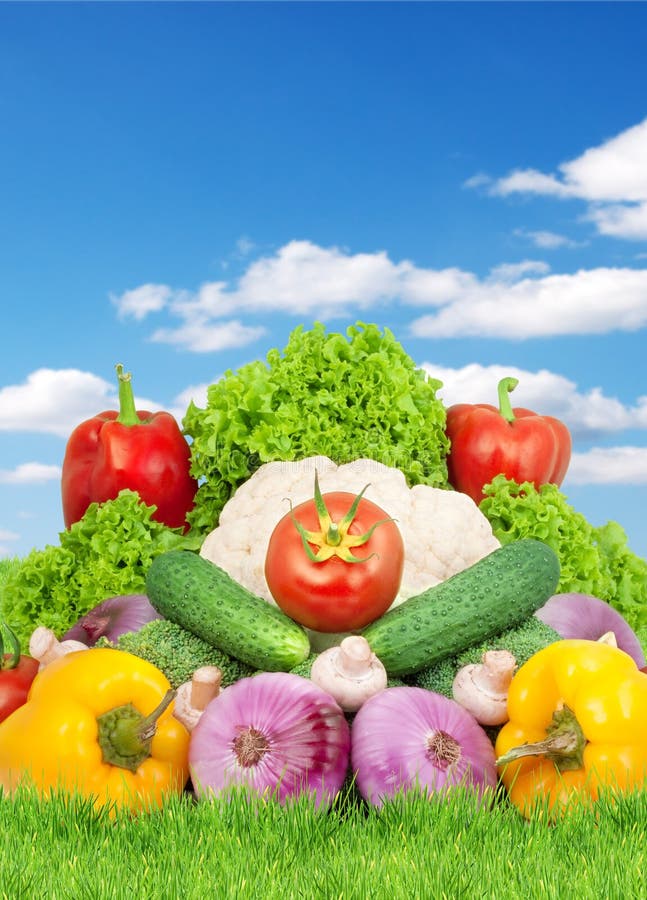 Assorted fresh vegetables stock photo. Image of culture - 12495656