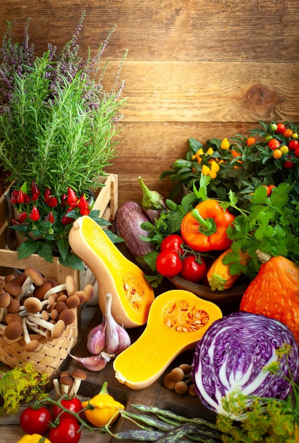 Assorted fresh vegetables stock photo. Image of concept - 156381052