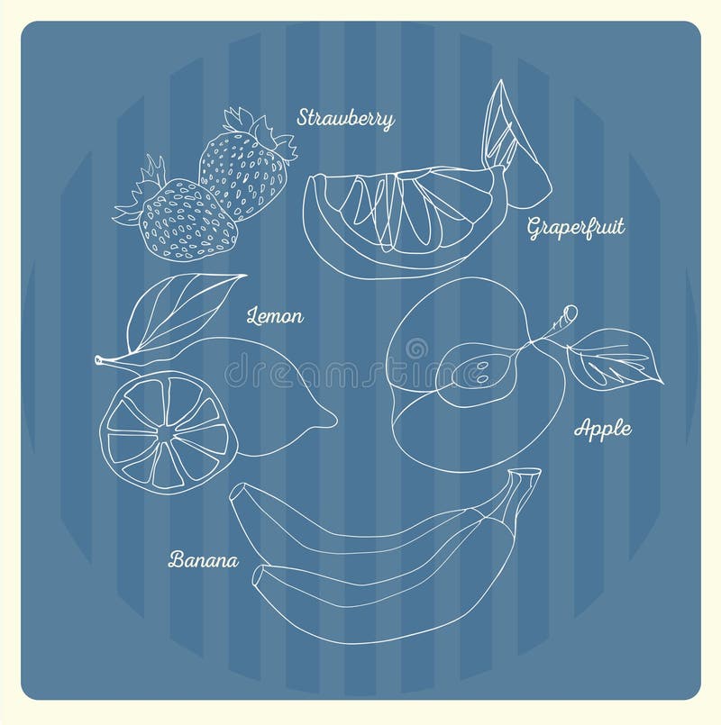 Assorted fruits. stock vector. Illustration of background - 77249948