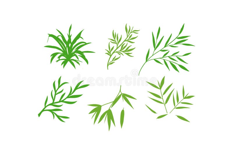 Stylized Leaf - Vector Illustration by Thin Lines. Leaf Twig Tree, Bush ...