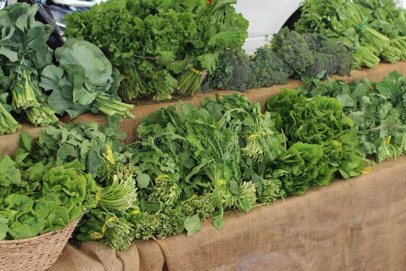 Assorted Greens 2 stock image. Image of food, display - 70046347