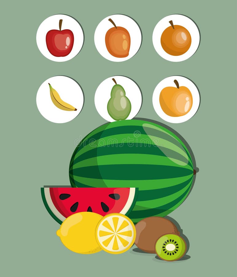 Assorted Healthy Food Icons Emblem Stock Vector - Illustration of ...