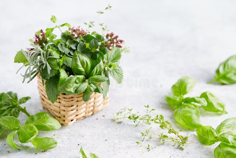 Assorted Herbs in Small Wicker Basket Stock Image - Image of culinary ...