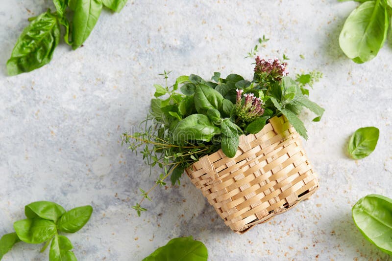 Assorted Herbs in Small Wicker Basket Stock Photo - Image of garden ...