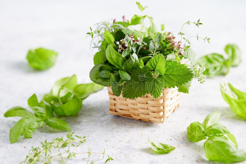 Assorted Herbs in Small Wicker Basket Stock Photo - Image of collection ...