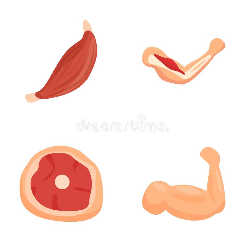 Assorted Meat Cut Icons Set Stock Vector - Illustration of chicken ...