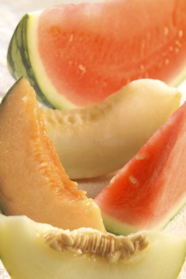 Assorted melons stock photo. Image of selection, melon - 23704150
