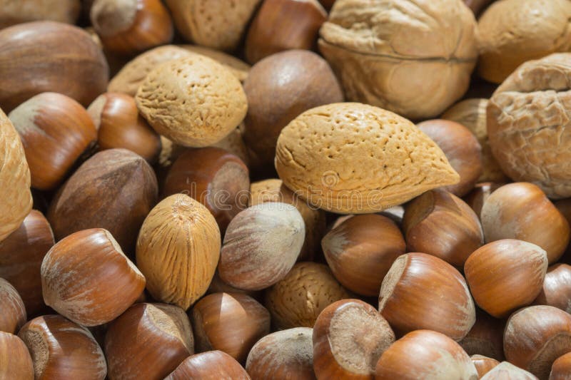 Assorted Mix of Different Nuts in Shells Stock Image - Image of ...
