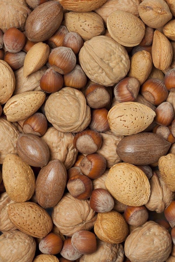 Assorted Mixed Nuts Full Frame Stock Image - Image of mixed, fruit ...