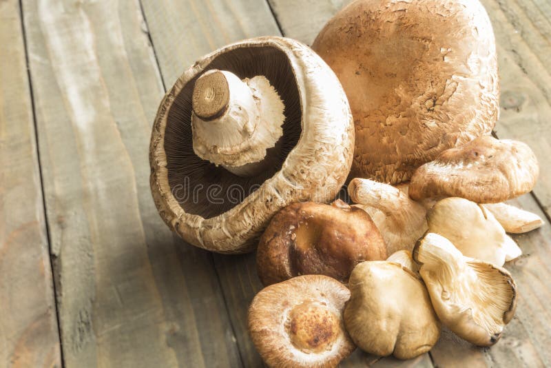 Assorted Mushrooms stock image. Image of copy, group - 38408627