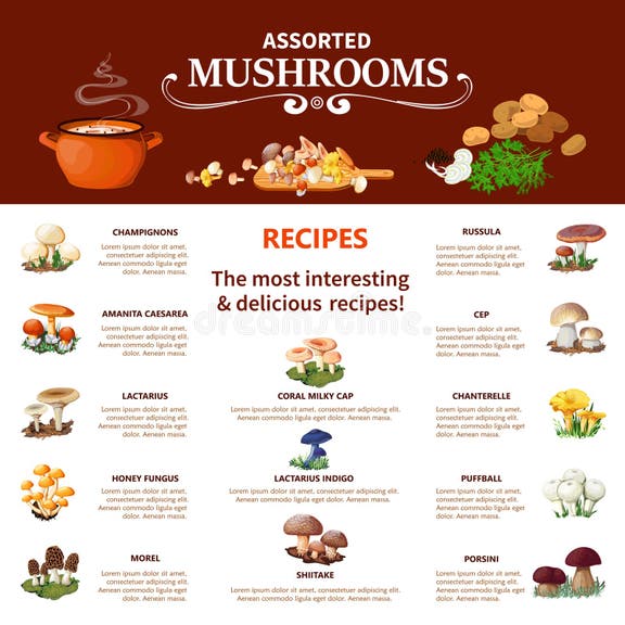 Assorted Mushrooms Infographics Stock Vector - Illustration of internet ...