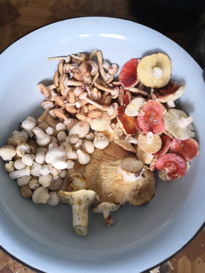 Assorted Mushrooms stock image. Image of color, natural - 136621249