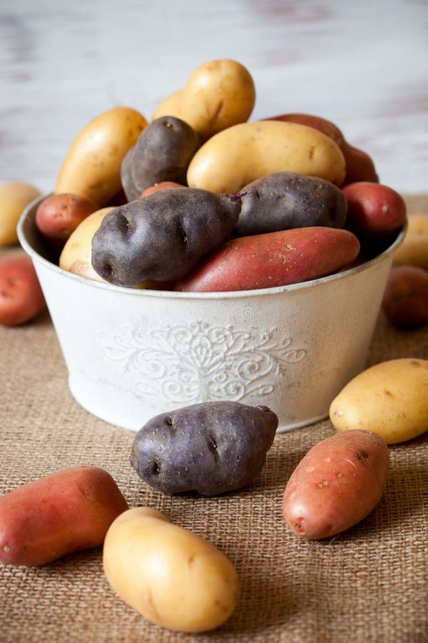 Multi-colored Fingerling Potatoes at an Outdoor Farmers Market. Stock ...