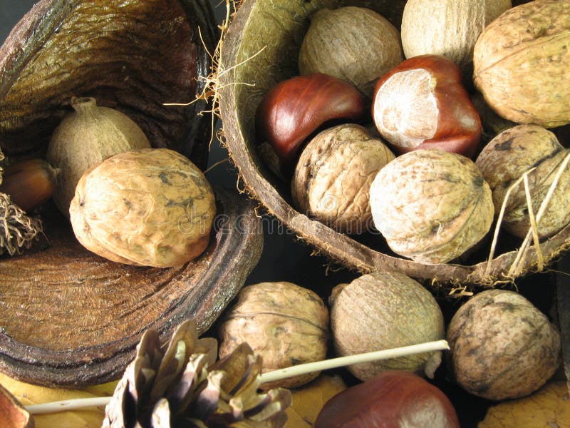 Assorted Nuts stock image. Image of celebration, basket - 11966691