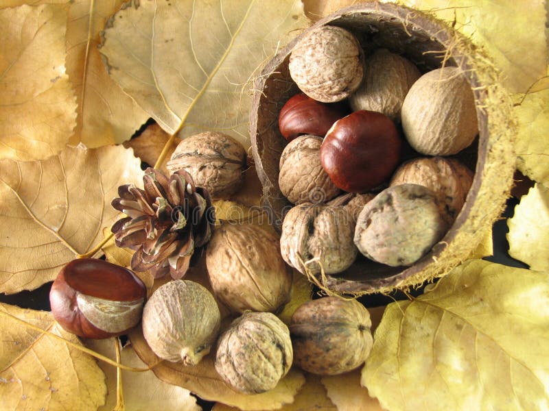 Assorted Nuts stock image. Image of celebration, basket - 11966691