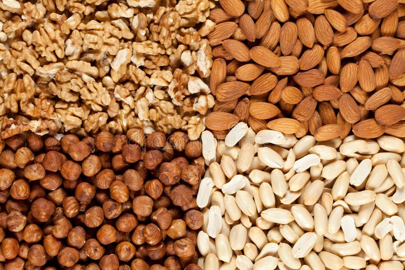 Assorted Nuts stock photo. Image of peanuts, almonds - 25751588