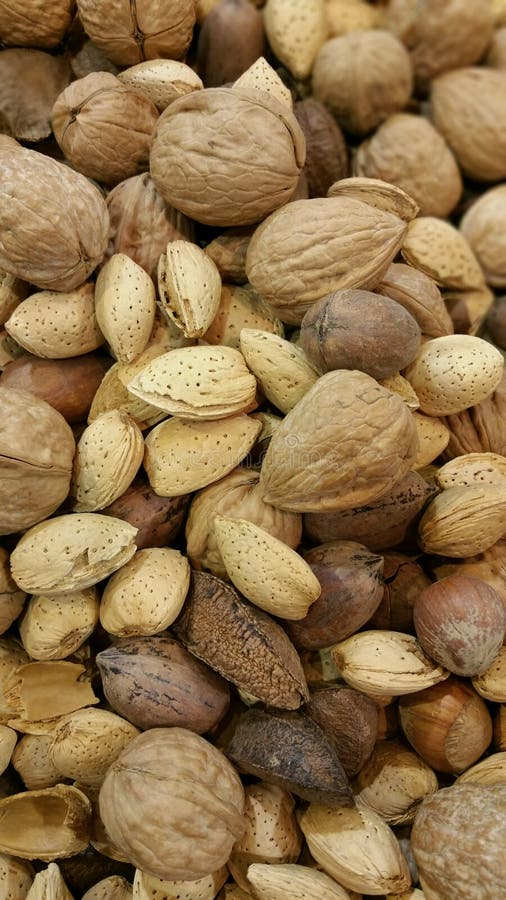 Assorted Nuts stock photo. Image of vegetarian, culinary - 46849524