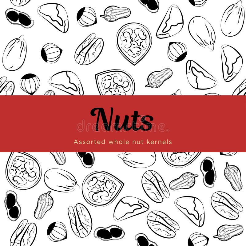 Nuts Set. Vector Illustration Stock Vector - Illustration of pistachio ...