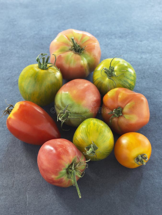Assorted Old-fashioned Organic Tomatoes Stock Image - Image of zebra ...