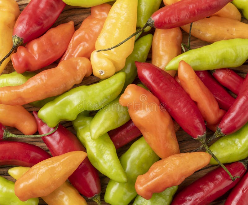 Assorted Peppers in Wood Bowl Stock Photo - Image of mixed, peppers ...