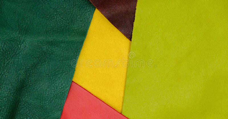 Assorted Pieces of Skin. Rawhide. Leather Pieces Stock Photo - Image of ...