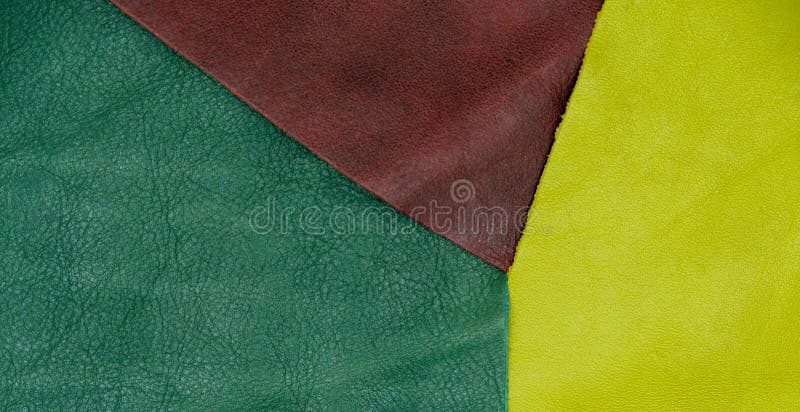 Assorted Pieces of Skin. Rawhide. Leather Pieces Stock Photo - Image of ...