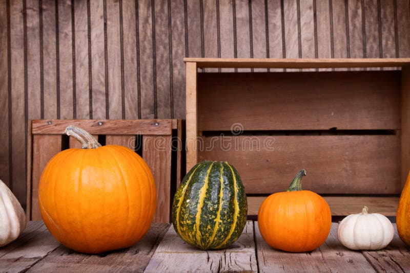 Assorted Pumpkins and Gourds Stock Photo - Image of crate, rustic: 33731882