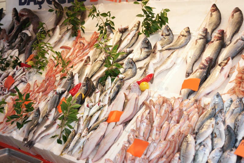 Assorted Raw Fish on Display at Fish Market. Stock Image - Image of ...