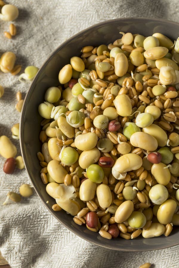 Assorted Raw Sprouted Beans Legumes Stock Photo - Image of peas, bowl ...
