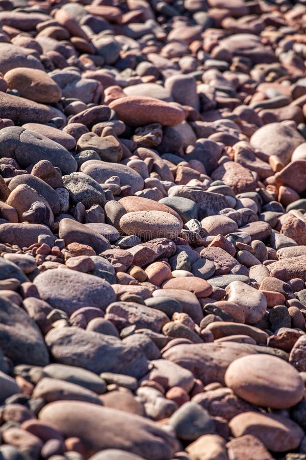 Assorted Rocks and Pebbles Washed Up Along the Shore of the Salt River ...