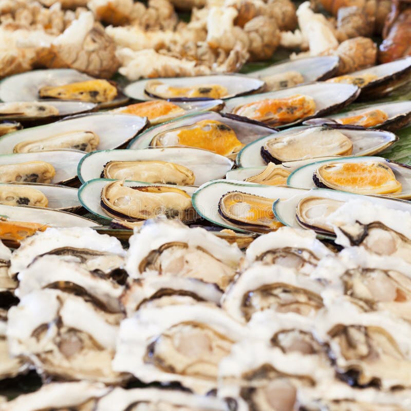 Assorted seafood stock photo. Image of mussel, cooked - 28567584