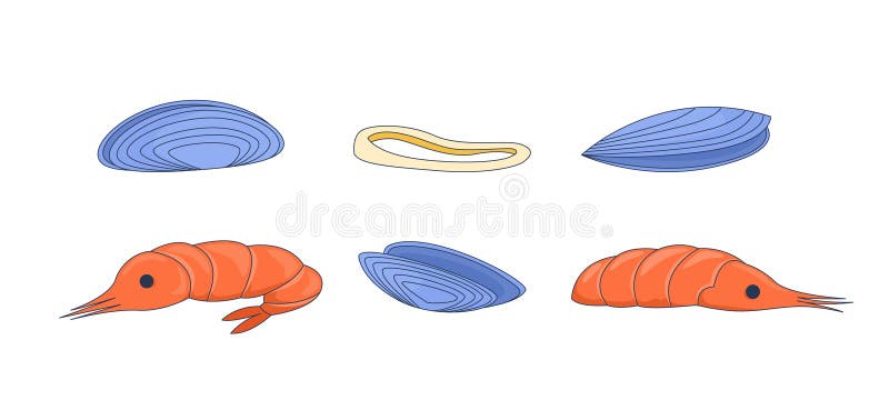 Assorted Shellfish and Shrimps 2D Cartoon Objects Set Stock ...