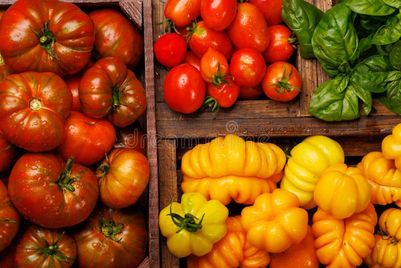 Assorted Tomatoes in Rustic Crate Stock Photo - Image of ingredients ...