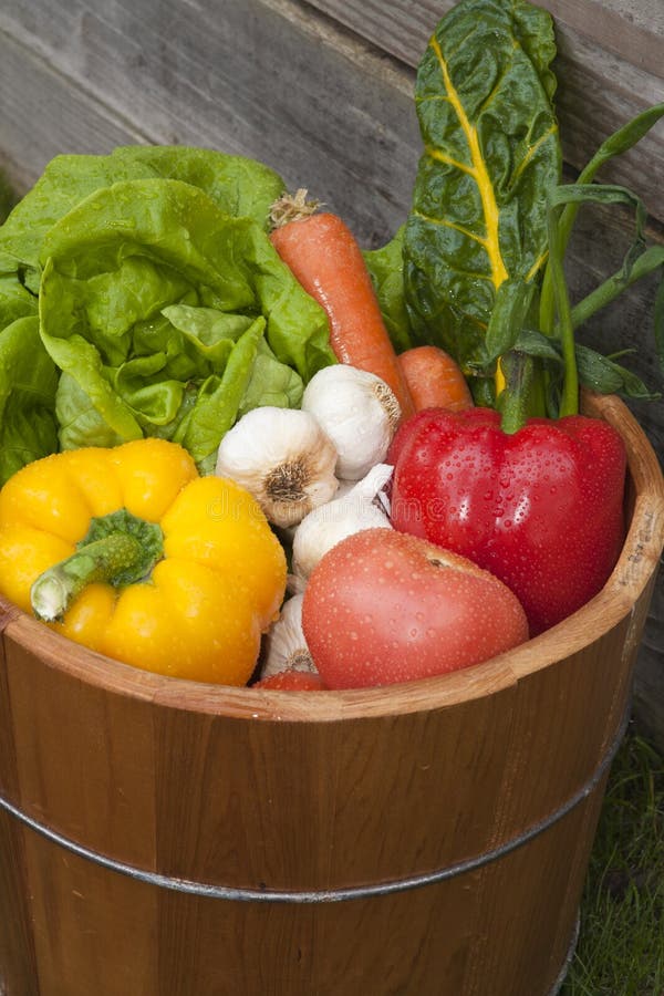 Assorted vegetables. stock image. Image of crop, garlic - 24738071