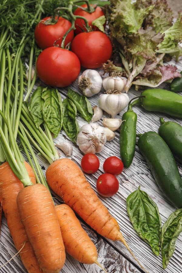 Overview of Assorted Vegetables Stock Image - Image of color, carrot ...