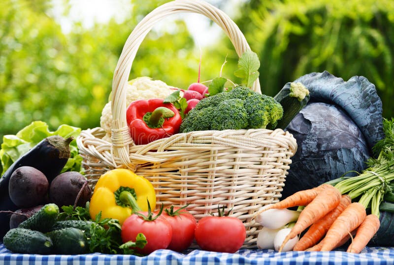 Assorted Vegetables in Wicker Basket in the Garden Stock Image - Image ...