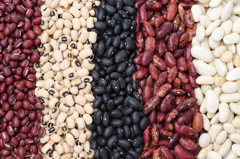 Assortiment De Différents Types De Haricots Horizontaux Image stock ...