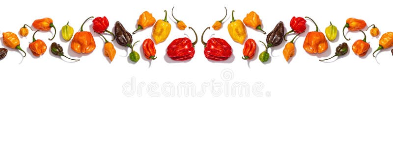 Assortment of Colored Peppers Isolated on White Background. Different ...
