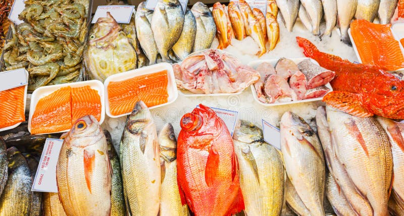 Fresh fish carp stock photo. Image of isolated, scale - 14205016