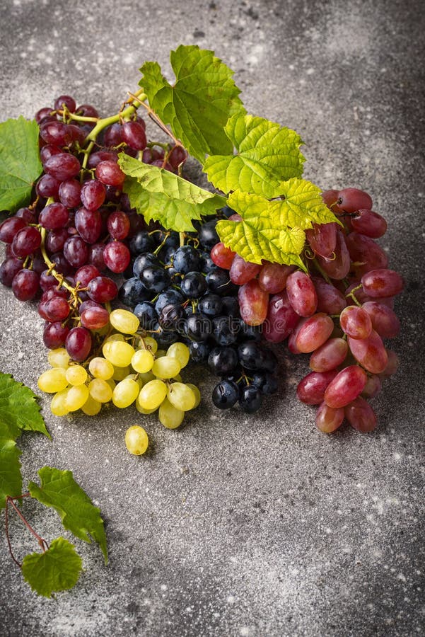 Assortment of Different Sort of Grapes Stock Image - Image of taste ...