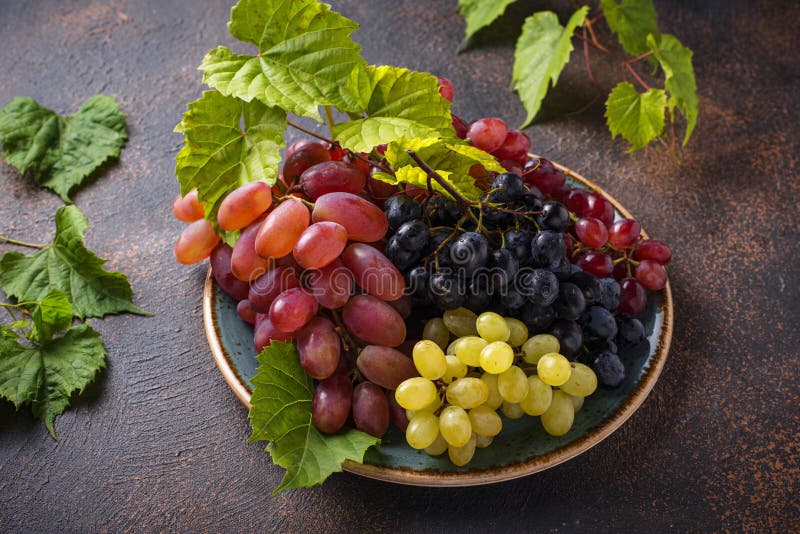 Assortment of Different Sort of Grapes Stock Photo - Image of gourmet ... Assortment of Different Sort of Grapes Stock Photo - Image of gourmet ...