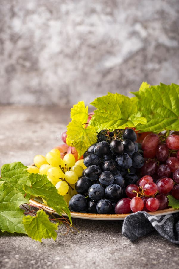 Assortment of Different Sort of Grapes Stock Photo - Image of food ... Assortment of Different Sort of Grapes Stock Photo - Image of food ...