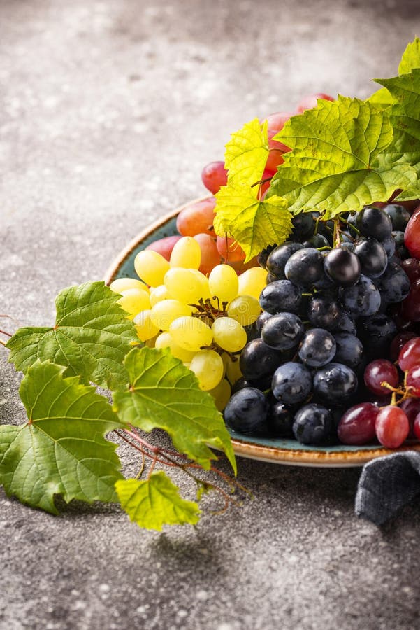 Assortment of Different Sort of Grapes Stock Photo - Image of blue ... Assortment of Different Sort of Grapes Stock Photo - Image of blue ...