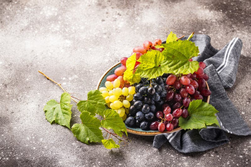 Assortment of Different Sort of Grapes Stock Photo - Image of ... Assortment of Different Sort of Grapes Stock Photo - Image of ...