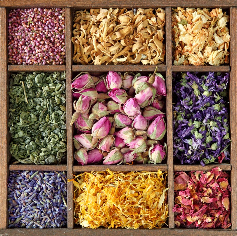 Assortment of dried tea stock image. Image of colorful - 12022895