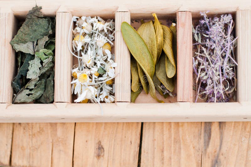 Assortment of Dry Medicinal Herbs Stock Image - Image of board ...